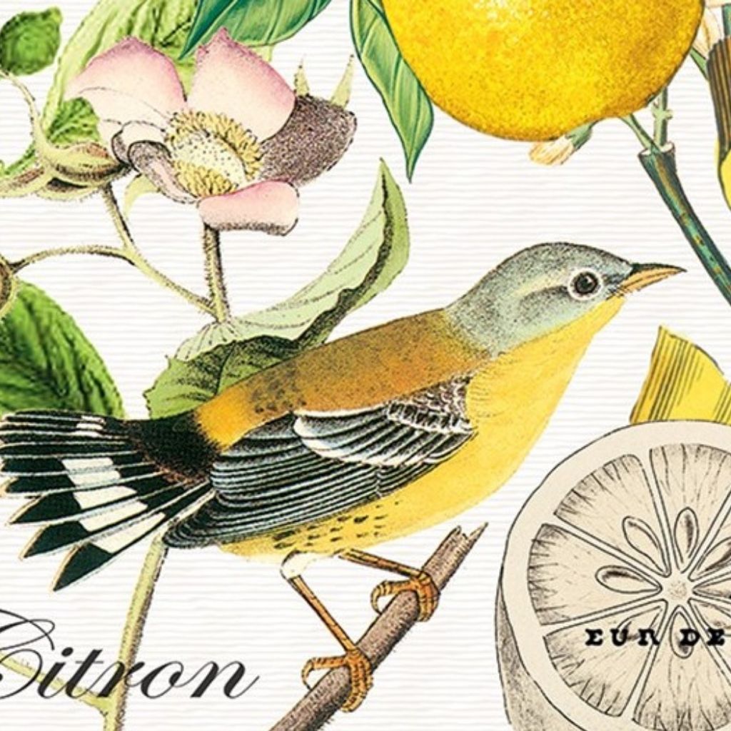 Michel Design Works – Joshua & Company